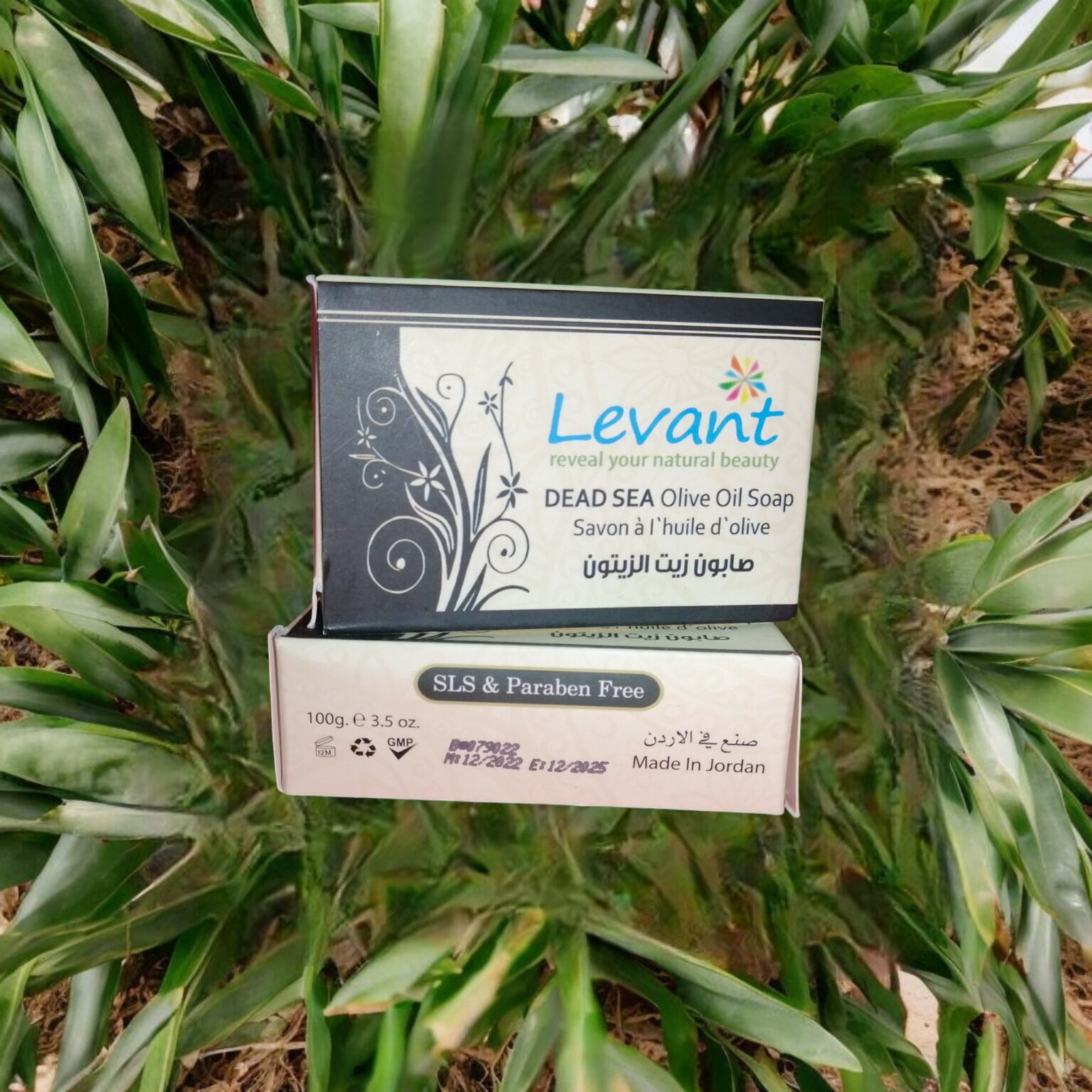 Dead Sea Olive Oil Soap – Dead Sea Levant