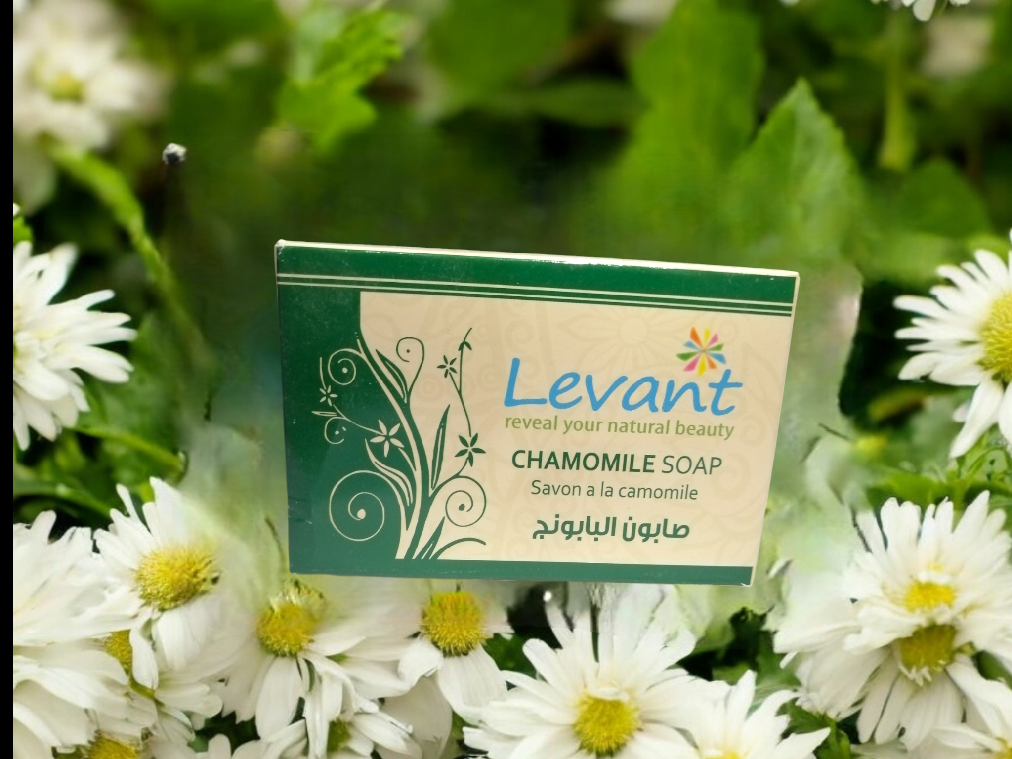 DEAD SEA CHAMOMILE SOAP Dead Sea Levant DEAD SEA CHAMOMILE SOAP Dead Sea Levant